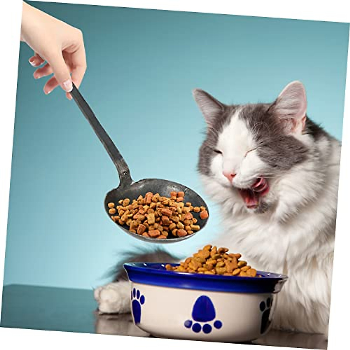 GANAZONO Forged Iron Spoon Mini Scoop Potting Scoop Garden Tractor Scoop Multitools Vegetable Planting Tools High Carbon Steel Spoon Cultivation Feeding Spoon Forging Dark Grey Bath Salt