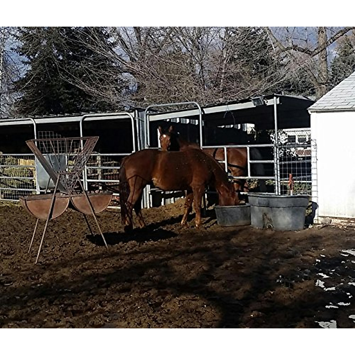 Redmond Rein Water Thirst Quencher for Dehydrated Horses, Electrolyte Mineral Drink Mix, 5 lb Bag