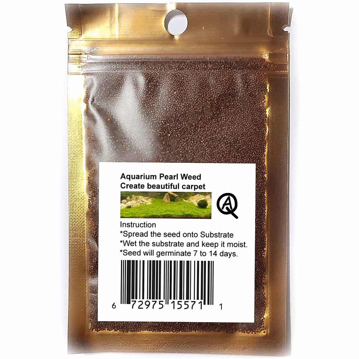 Fresh Water Aquarium Live Plants Foreground Seeds or Carpeting in Planted Fish Tank. Safe for Shrimps, Betta, Goldfish, and Guppies.