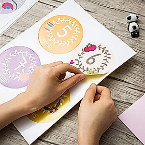 Massive Pack of 32 Ronica Baby Girl Stickers: 12 Baby Monthly Stickers + 20 Popular Milestones Baby Stickers - Record Your Baby's Growth, Holidays and Special Firsts - Unique Baby Gifts