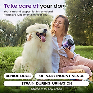 Dog UTI Treatment - Bladder Control Cranberry Chews - Dog Cranberry Supplement for Urinary Tract, Bladder & Kidney Health - Cranberry D-Mannose Soft Treats for Dog Incontinence - Healthy Bladder