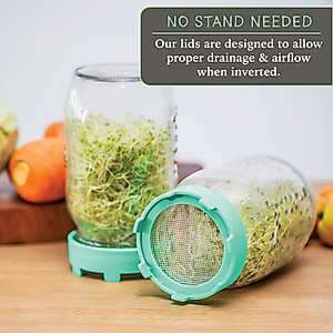 Elementi Sprouting Lids for Wide Mouth Mason Jars (Set of 2), Sprouting Jar Kit for Organic Sprouts, Alfalfa & Mung Bean Sprouts Grow Kit, 316 Stainless Steel Mesh Screen Strainer Lid (Mint Green)