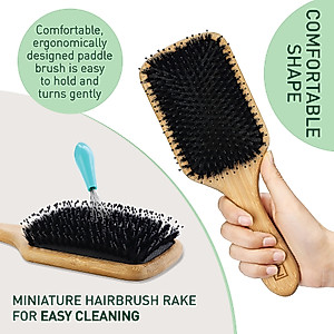 Natural Boar Bristle Hair Brush for Women, Men, Kids; Dry and Wet Detangling Hair Brush Gently Enhances Shine, Smooths Frizz and Prevents Breakage in Fine and Straight, Thick and Curly Hair (paddle)