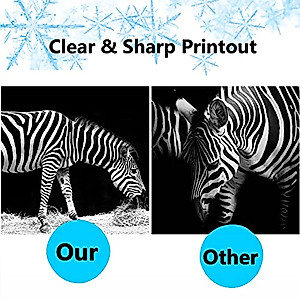 T08 for Canon T08 Toner Cartridges Use With ImageCLASS 1238i LBP1238 MF1238 3010C005AA Printer 2-pack