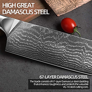 RuanQ Pro Chef Knife, 8 Inchs Kitchen Knife, German Special High Carbon Alloy Steel, Ergonomic Precious Rosewood Handle, Ultra Sharp