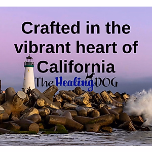 The Healing Dog: Hemp Drops for Dogs - 600mg