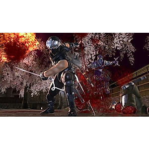 Ninja Gaiden II (Renewed)