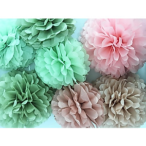 Tissue Paper Pom Poms Kit -Rose Pink and Sage Green Paper Flowers 12pieces for Gender Baby Shower Wedding Bridal Bachelorette Birthday Party Decorations (Green + Pink)