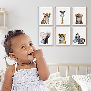 Designs by Maria Inc. Safari Blue Bubblegum Baby Animals Nursery Decor Art - Set of 6 (UNFRAMED) Wall Prints 8x10 (Blue)