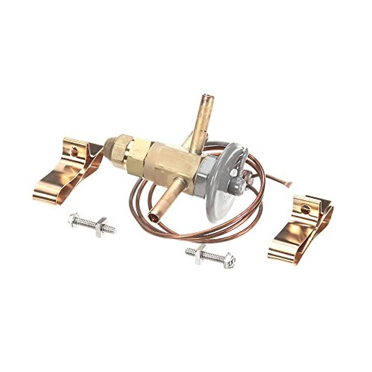 Norlake 154020 Expansion Valve Bbise-1/4-Zp 2" x 3" x 2" OD