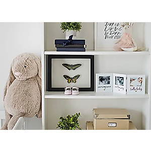 Pearhead Triple Sonogram Keepsake Photo Frame, Gender Neutral Ultrasound Keepsake, Ideal Pregnancy Gift For First Time Moms, Baby Shower and Nursery Decor, 3.5”x2.5” Photo Insert, White