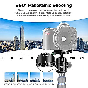 Manbily Professional Tripod Ball Head,Super Long Lens Does Not Easy Nod or Sag,Rotate 360 Degrees,Quick Release Plate and Level Gauge,CNC Metal Aluminum,for DSLR,Camcorder,monopod,Up to 33lbs/15kg