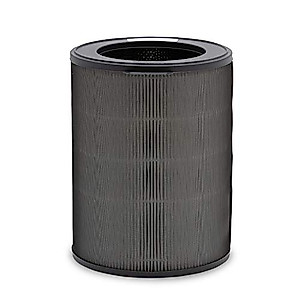 Genuine Winix 112180 Replacement Filter N for NK100, NK105 and QS Air Purifiers,Black