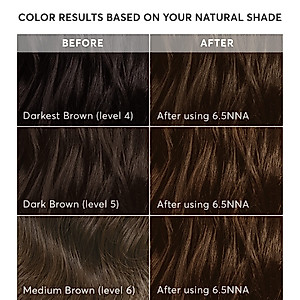 Madison Reed Radiant Hair Color Kit, Soft Medium Neutral Brown for 100% Coverage of Resistant Gray Hair, Ammonia-Free, 6.5NNA Sondrio Brown, Permanent Hair Dye, Pack of 1