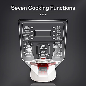 TIANJI Electric Stew Pot, Ceramic Pot for Soup, Desserts, Bird's Nest, Multiple ceramic liners, DGD32-32CG