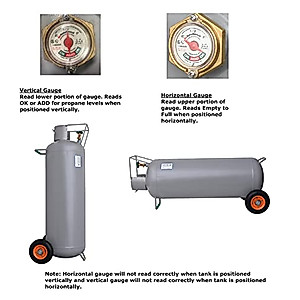 Flame King YSN100HOGb 100 LB Pound Horizontal & Vertical Propane Cylinder Pol Valve, Gray