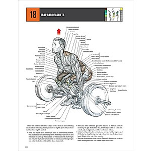 Strength Training Anatomy