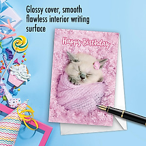 The Best Card Company Birthday Greeting Card with 5 x 7 Inch Envelope (1 Card) Bday Fluffy Furballs C7168ABDG