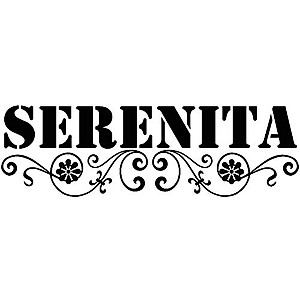 SERENITA Chindi Rug Reversible Rag Cotton Hand Woven Throw Area Rugs for Kitchen Bedroom Bathroom Livingroom Washable Stripe Blue 22" x 36"