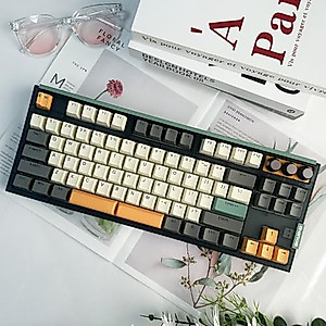 SKYLOONG GK87 V3 TKL Wireless Mechanical Keyboard - Nordic 2.4G/Bluetooth 5.1/USB Wired - Double Spacebar - 3Knobs - Gateron G Pro Switch-RGB Backlit Hot Swappable - Ti-Grey PBT Keycaps