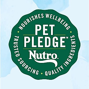 Nutro Limited Ingredient Diet Dry Dog Food, Salmon & Lentils Recipe, 22 lbs.