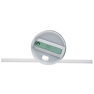 Stanley Quencher H2.0 FlowState Stainless Steel Vacuum Insulated Tumbler with Lid and Straw for Water, Iced Tea or Coffee, Smoothie and More, Charcoal, 20 oz