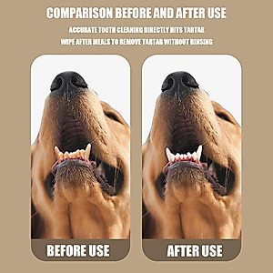 Symphonyw Teeth Cleaning Wipes for Dogs & Cats, Pet Dental Care Finger Wipes, Dog Dental Wipes for Reducing Plaque & Tartar, 50 Counts