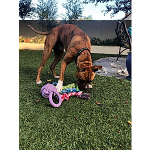 RITE-HITE Rope Dog Toys - for Small, Medium, and Large Size Dogs, Includes Ball, Made for Aggressive chewers and Great for Teething (Large)