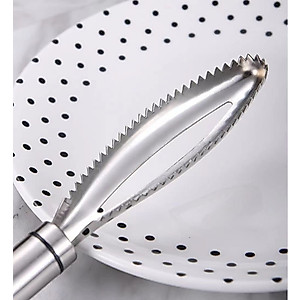 304 Stainless Steel Fish Scale Remover - Saw Teeth Descaler Tool - Easy Scaling Fish Scraper - Suitable for All Fish Types - Perfect for Chefs and Home Cooks
