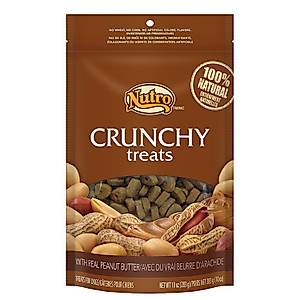 Nutro Crunchy Dog Treats 2 Flavor Variety Bundle: (1) Nutro Crunchy Dog Treats with Real Peanut Butter and (1) Nutro Crunchy Dog Treats with Real Mixed Berries, 10 Ounces Each (2 Bags Total)