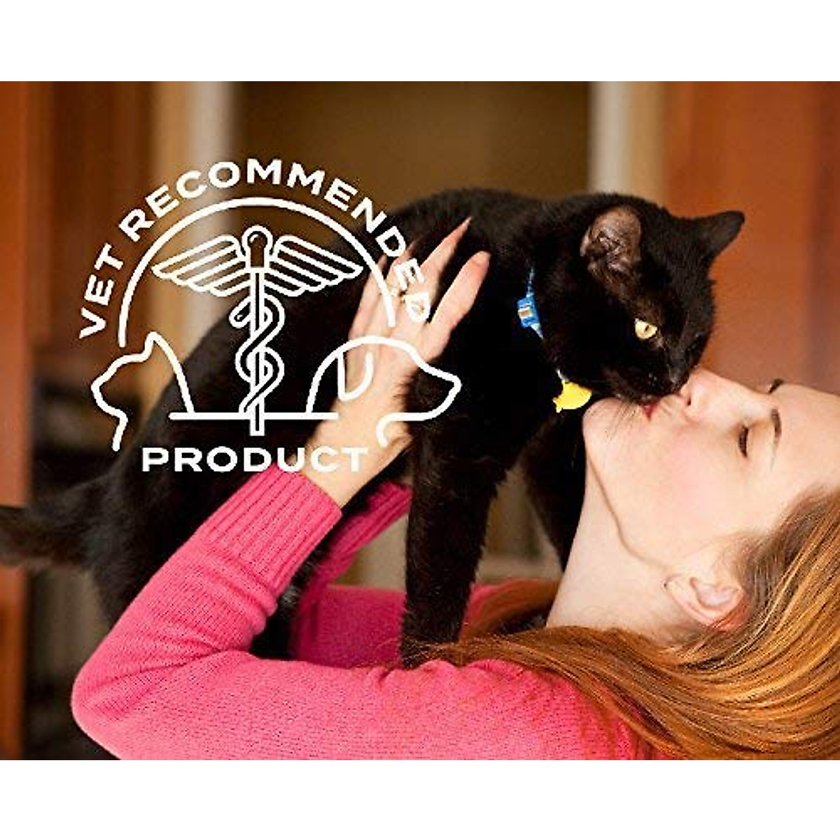 PetAction Plus for Cats 12 Doses