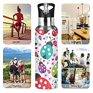 xigua Ladybug Water Bottle Double Walled Stainless Steel Leak Proof Thermo Flask for Sports Gym Cycling Outdoor,20 oz.