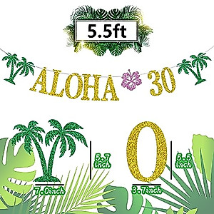 Hawaiian Aloha 30 Banner, Cheers to 30 Years Bunting Sign, Happy 30th Birthday Party Decorations Supplies, Hawaiian Tropical Luau Favors Sign Photo Booth Props, Gold Glitter