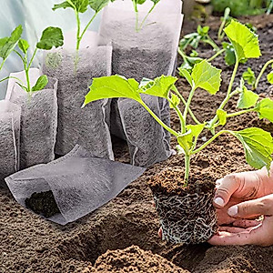 200pcs Nursery Bags Plant,Biodegradable Non-Woven Plant Grow Bags Fabric Seedling Pots Bags Plants Home Garden Supply (5.5x6.2)