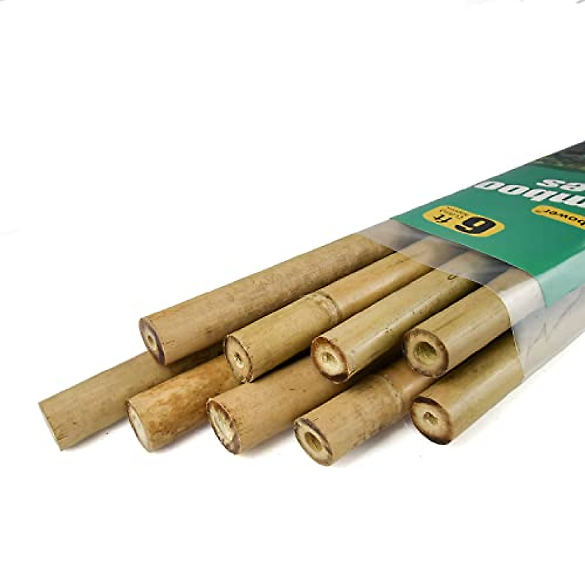 Jollybower 3/4" D Thicker Heavy Duty Bamboo Stakes,6FT Plant Stakes,Natural Garden Stakes for Tomato,Bean,Flowers,Trees Potted and Climbing Plant Support-Pack of 9 Bamboo Stick