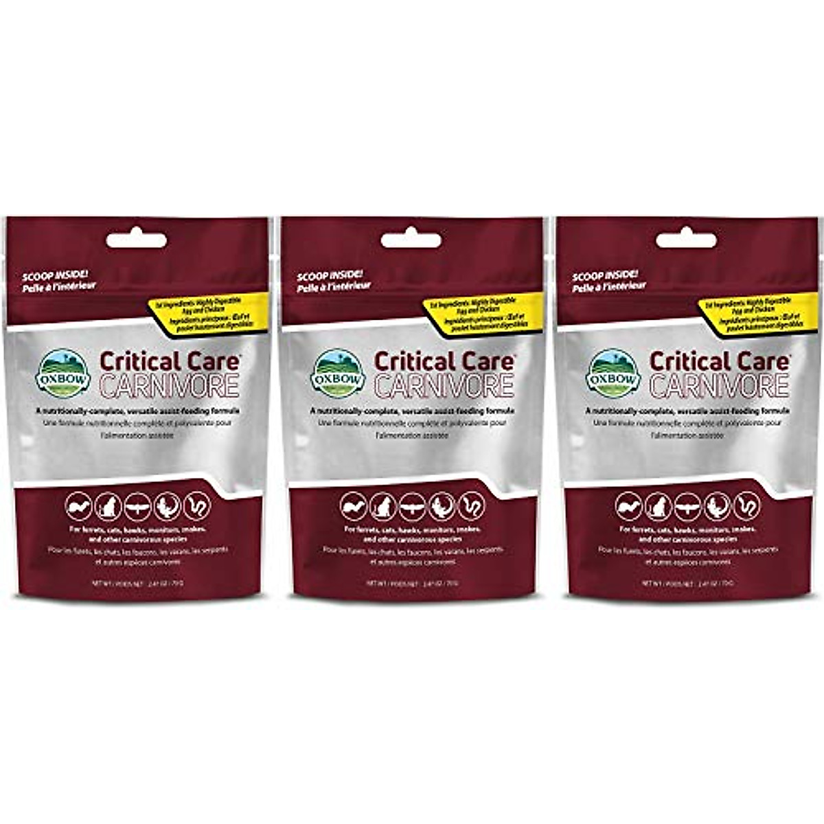 Oxbow 3 Pack of Critical Care Carnivore, 2.47 Ounces Each, Support Supplement for Small Pets