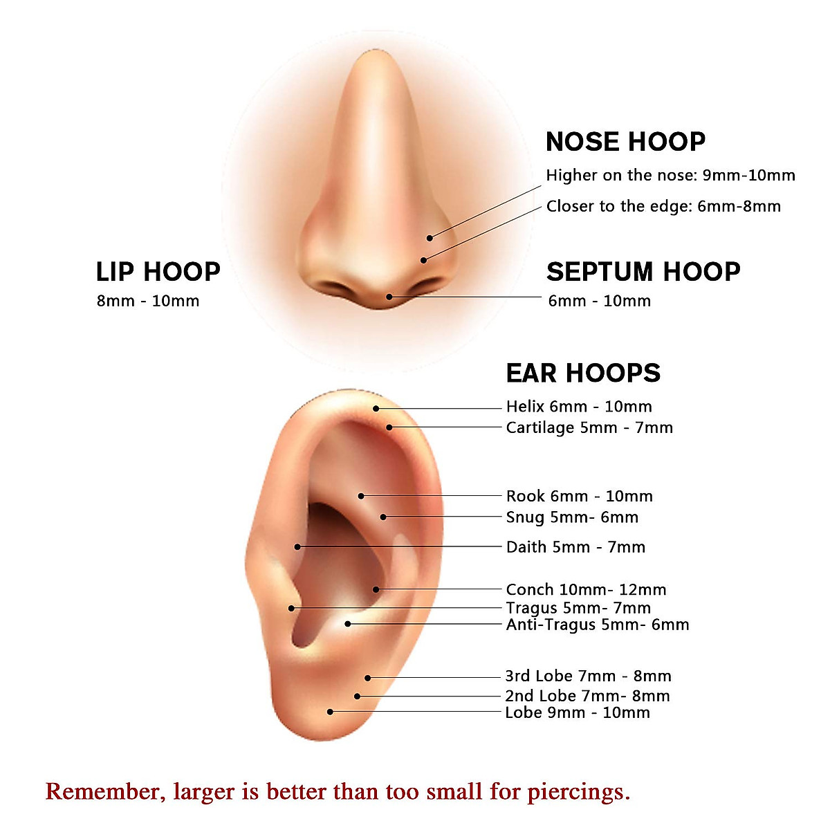 FUNLMO 20g Nose Rings Hoop Surgical Steel Cartilage Rook Daith Tragus Earrings Anti-Tragus Earring Hoop Nose Rings Lip Rings 5mm Septum Clicker Ring 5Pcs