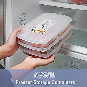 MUXHEL 8 Pcs 4 Compartment Food Storage Containers with Lids, BPA-Free Divided Serving Tray Container Reusable, Plastic Freezer Storage Containers for Storing Fruits, Vegetables, Meat