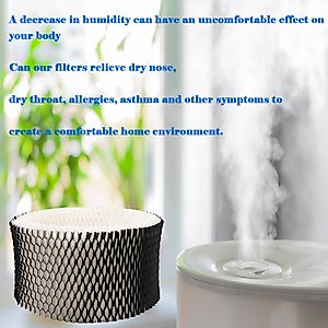 LuckySlycyc HWF62 Humidifier Filter Replacement, Compatible with for HWF62 HWF62CS HWF62D SF212, Fits Sunbeam Humidifier Models SCM1100, SCM1701, SCM1702, SCM1762(4 Pcs)