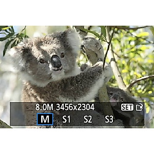 Canon EOS Kiss X5 Digital SLR Camera 2 Lens Kit - International Version (No Warranty)