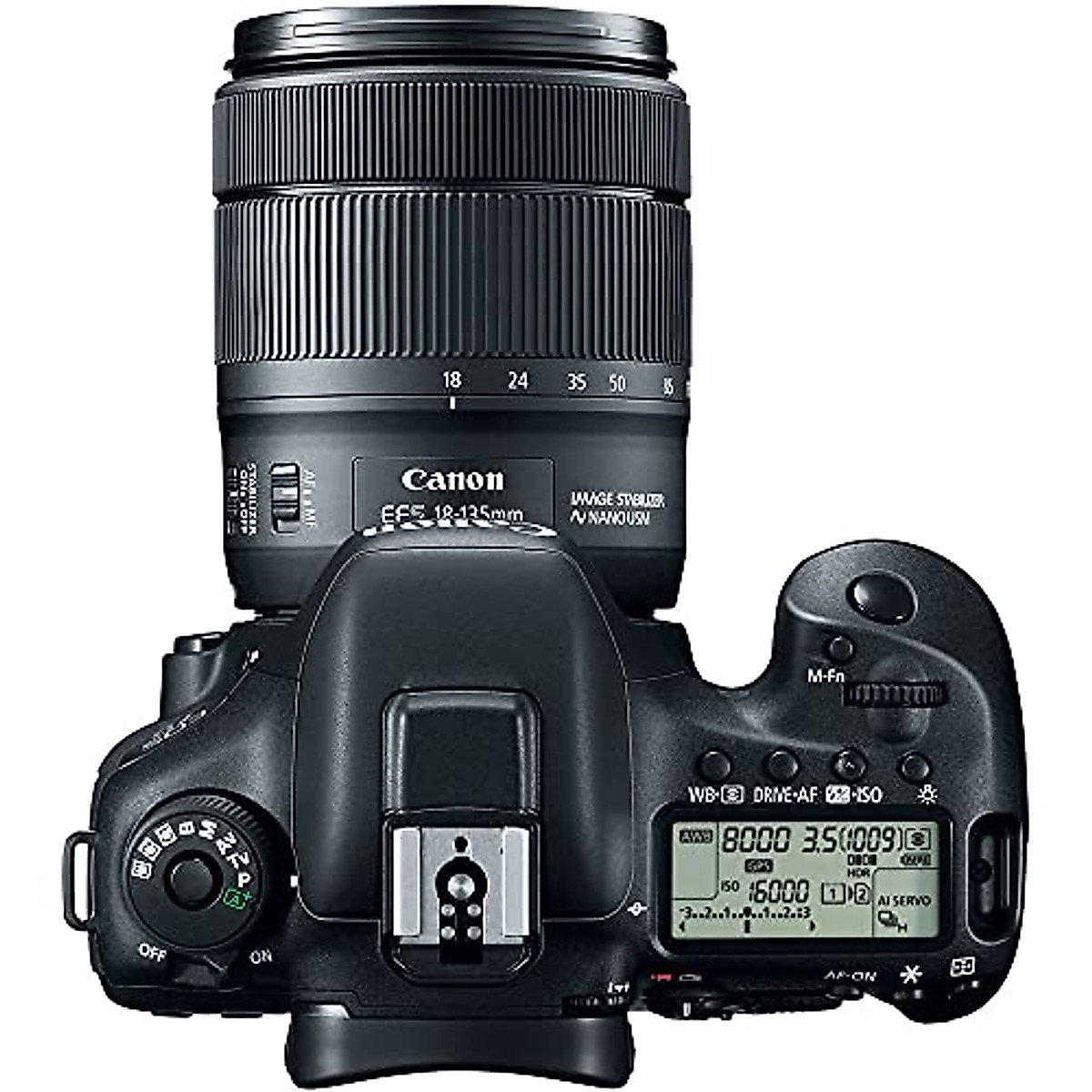 Canon EOS 7D Mark II DSLR Camera with 18-135mm f/3.5-5.6 IS USM Lens & W-E1 Wi-Fi Adapter (9128B135) + 64GB Memory Card + Case + Card Reader + Flex Tripod + Hand Strap + More (Renewed)