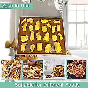 6PCS Silicone Dehydrator Sheets - Nonstick fruit leather trays for dehydrator with Silicone Scraper Compatible with Cosori CP267-FD High Temperature Resistance Reusable for Fruits Meat Vegetables Herbs