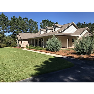 USA Pine Straw - Pine Needle Mulch - Covers 240 Sqft