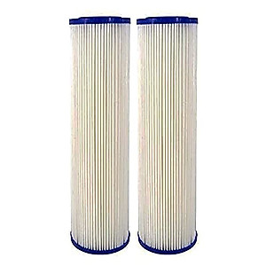 CFS COMPLETE FILTRATION SERVICES EST.2006 2 Pack of Replacement 0.35 Sub-micron Post-Filter for Whole House Water Filter Systems
