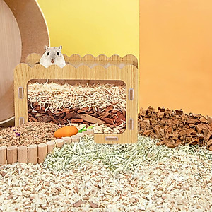 Hamster Digging Box, Small Visible Hamster Digging Room with Acrylic Transparent Board, Hamster Hideout and Exploration House with Climbing Ladder, Hamster Digging Wood Toy for Guinea Syrian Hamsters