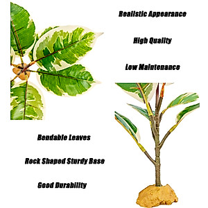 Woyrise Reptile Plants for Terrarium Decor, Amphibian Habitat Artificial Plant, Bearded Dragon Tank Accessories fit Gecko Lizard Chameleon Ball Python Snake Frog - Ficus Microcarpa