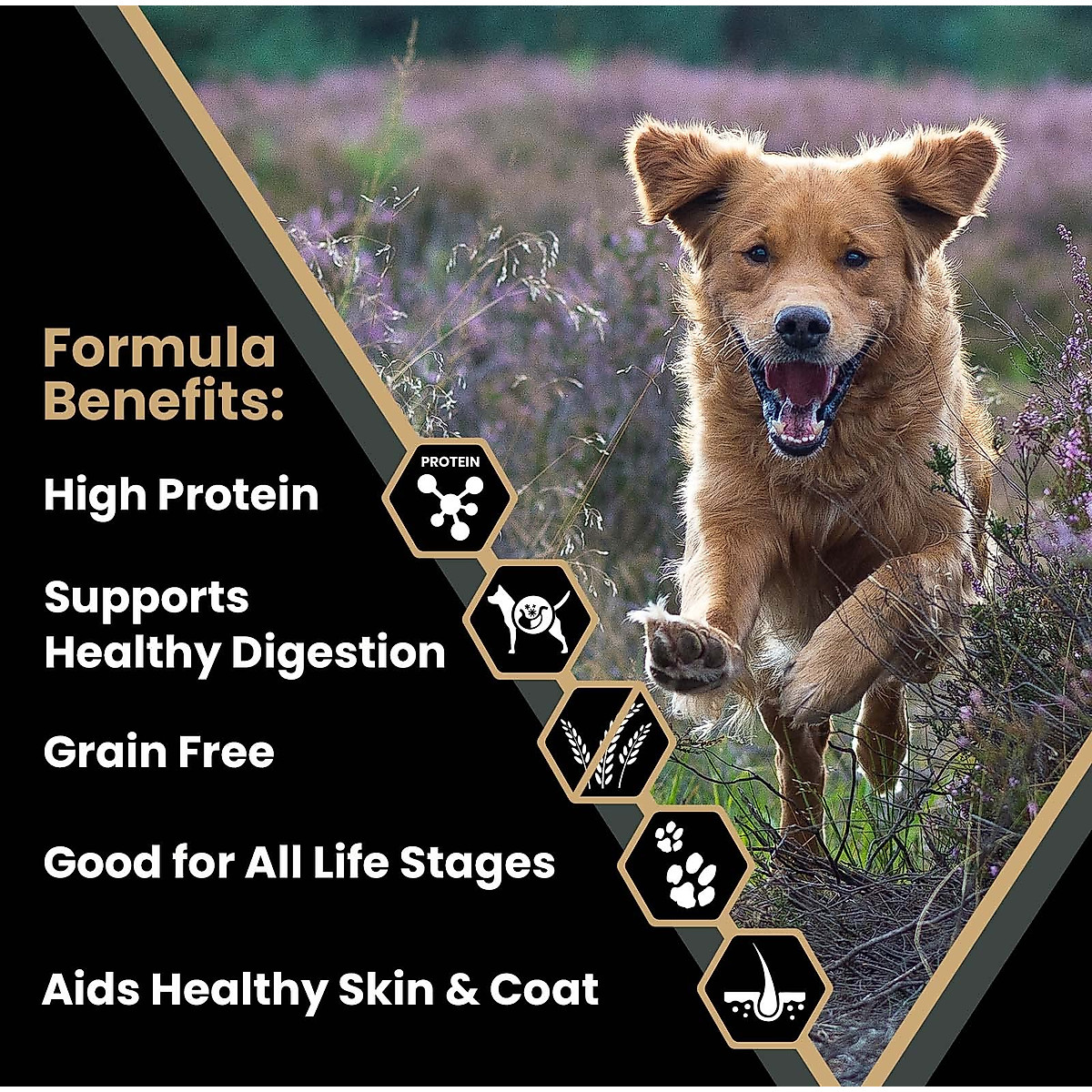 Victor Super Premium Dog Food – Grain Free Ultra Pro Dry Dog Food – High Protein, Low Carb Dog Food for Active Dogs – 42% Protein Dog Food for Sporting Dogs of All Breeds & Sizes, 30 lb