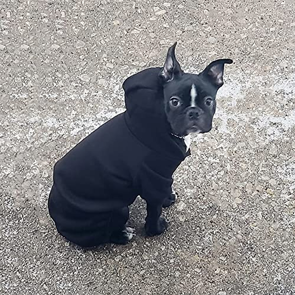 LifeWheel Hoodie, Pet Jumpsuit Fleece Sweatshirt with Buttons,Cold Weather Coats, LifeWheel Pajamas, Winter Warm Cotton Puppy Hoodie 4 Legs Clothes for Small Medium Large Dogs Cats Boy Girl Black