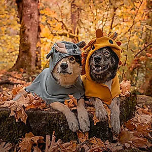 Barkbox - Premium Absorbent Hooded Dog Bathrobe Towel Bundle - Quick Drying Pet Towel for Bath & Beach Trips - Luxurious & Soft Bathrobe Towel for Dogs of All Breeds - Lion & Rhino - Small