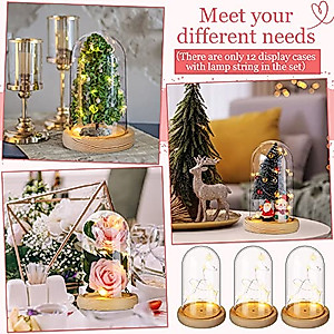 Remerry 6 Pieces Plastic Cloche Dome Plastic Dome Display Case with Rustic Wood Base and LED Fairy Light Jar for Rose Valentine's Day Wedding Tabletop Centerpiece Decoration, 6.5 x 3.7 Inch